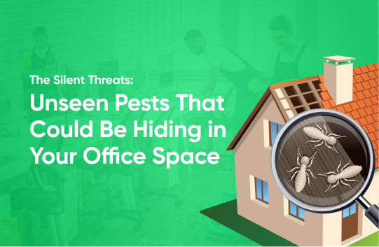 The Silent Threats: Unseen Pests That Could Be Hiding in Your Office ...